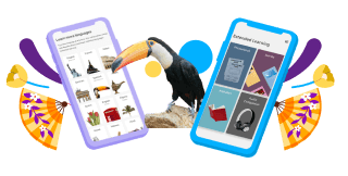 Rosetta Stone Product Activation